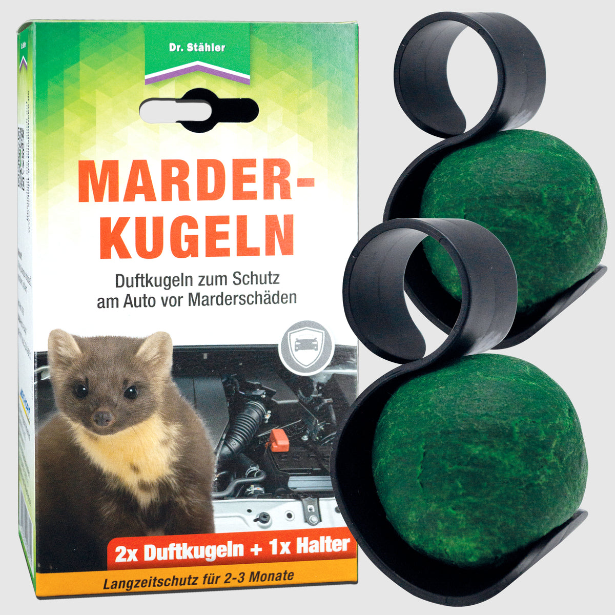 Faszinierend Was Tun Gegen Marder Auto Bildernull